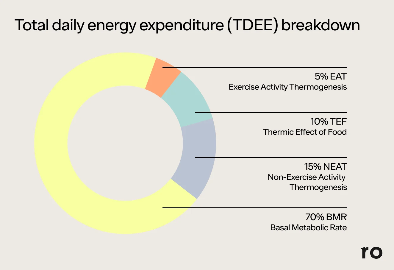 TDEE Calculator: Learn Your Total Daily Energy Expenditure